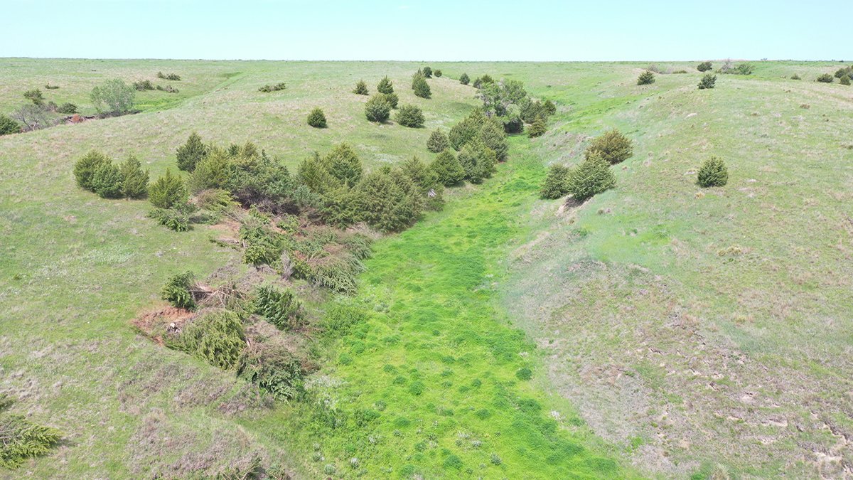 An Eye on the Land: Land Invaders and Soil Movers