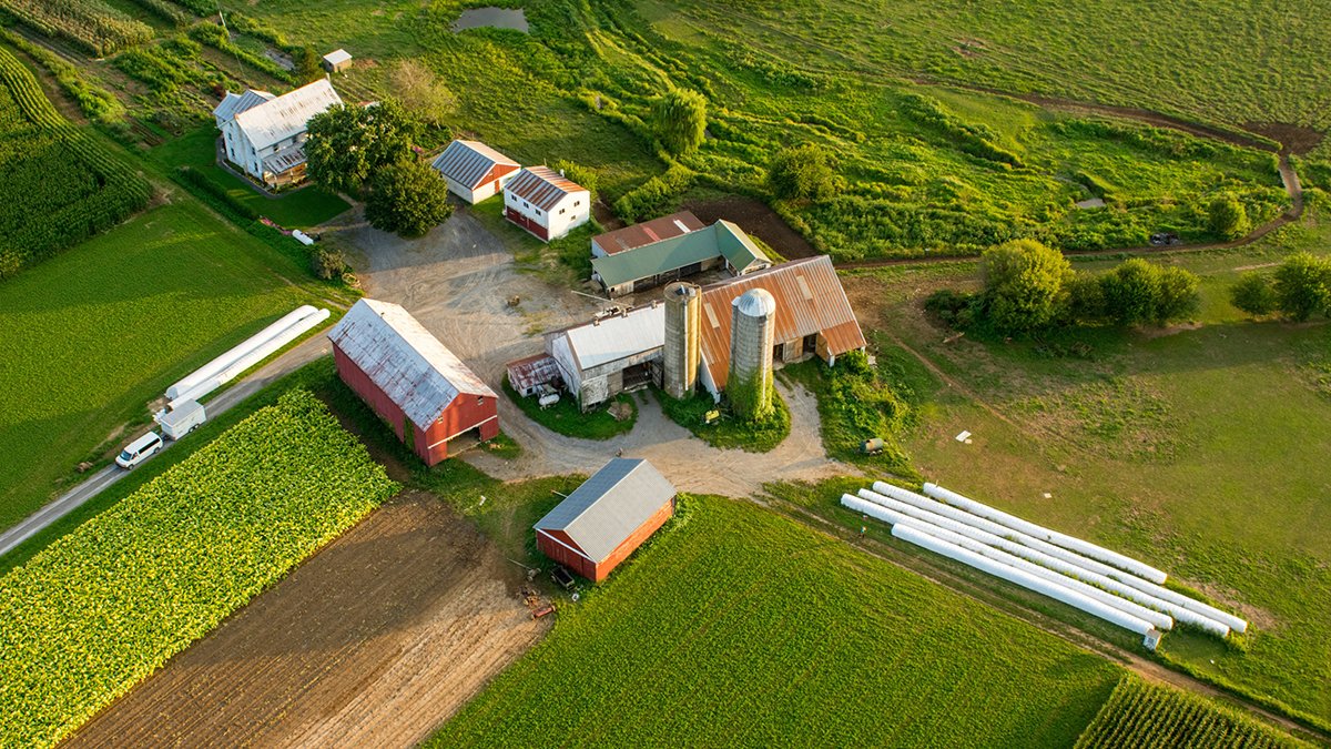 Factors That Affect the Value of Agricultural Land: A Complete Guide ...