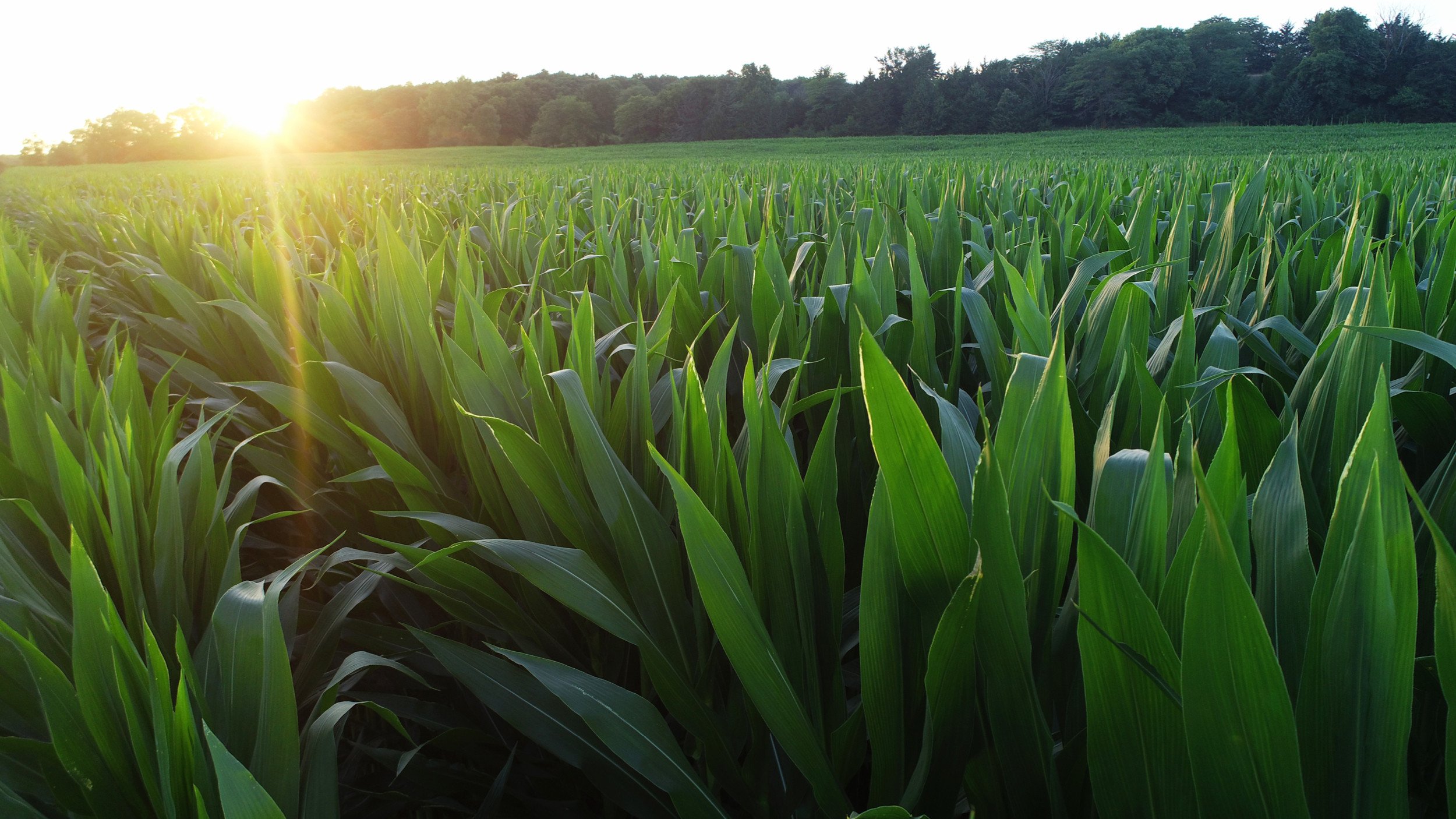 Farmland Ownership and Tenure Survey 1982-2022: A Forty-Year Perspective