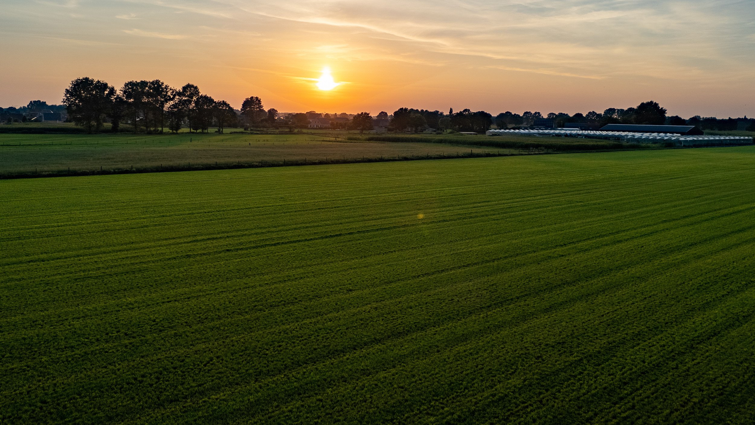 Farmland Value: How to Know What Your Land is Worth